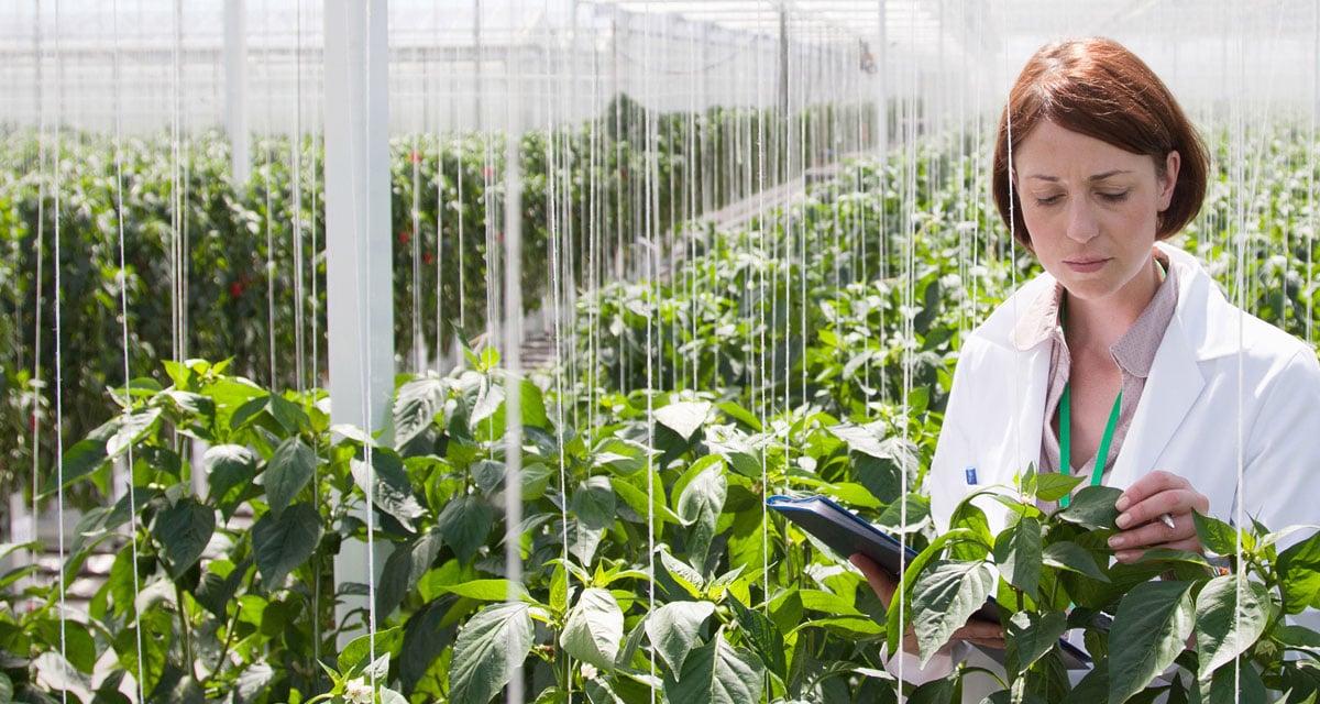 Herbal Processing-Extraction eBook | CPS